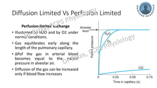 Diffusion of gases through Respiratory Membrane | PPT