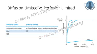 Diffusion of gases through Respiratory Membrane | PPT