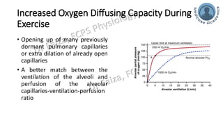 Diffusion of gases through Respiratory Membrane | PPT