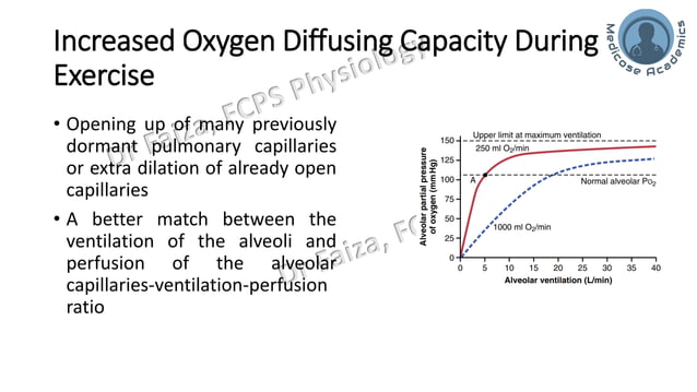 Diffusion of gases through Respiratory Membrane | PPT