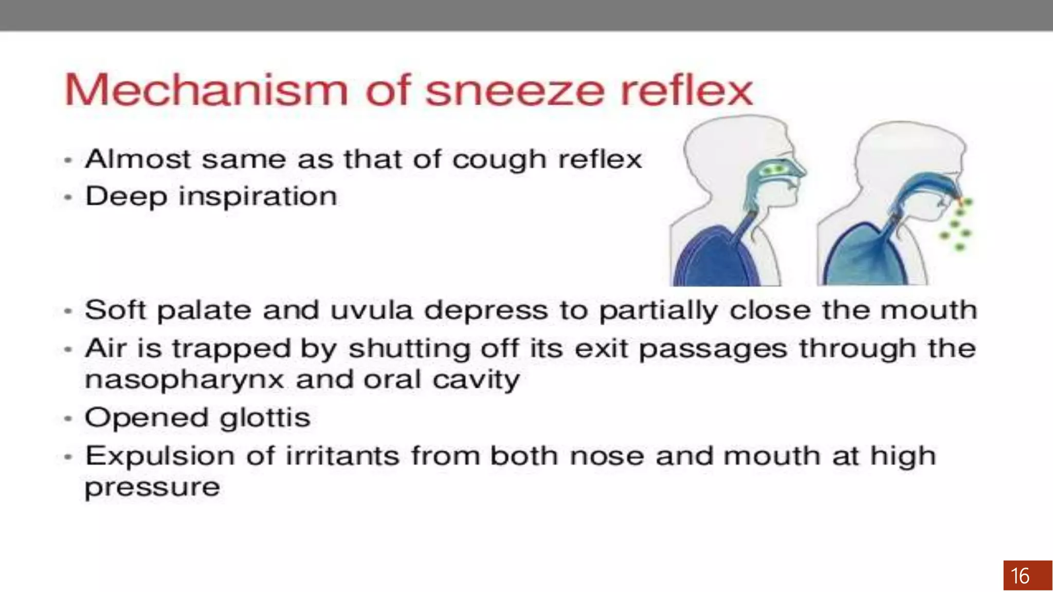 Diffusion of respiratory gasses and reflexes | PPTX