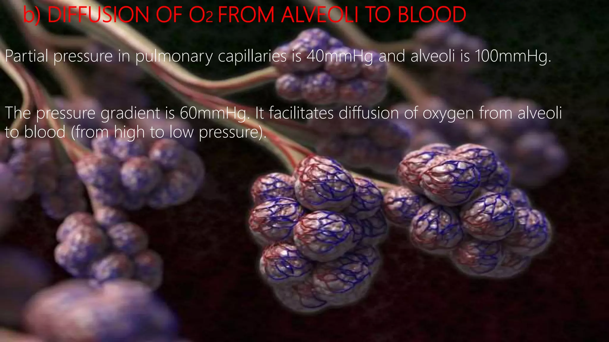 Diffusion of respiratory gasses and reflexes | PPTX