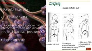 Diffusion of respiratory gasses and reflexes | PPTX