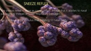 Diffusion of respiratory gasses and reflexes | PPTX