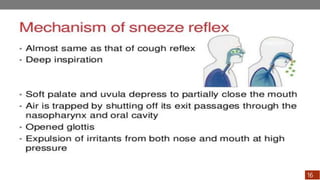 Diffusion of respiratory gasses and reflexes | PPTX