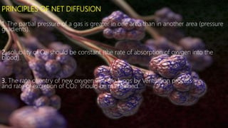 Diffusion of respiratory gasses and reflexes | PPTX