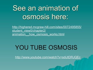 Osmosis Animation