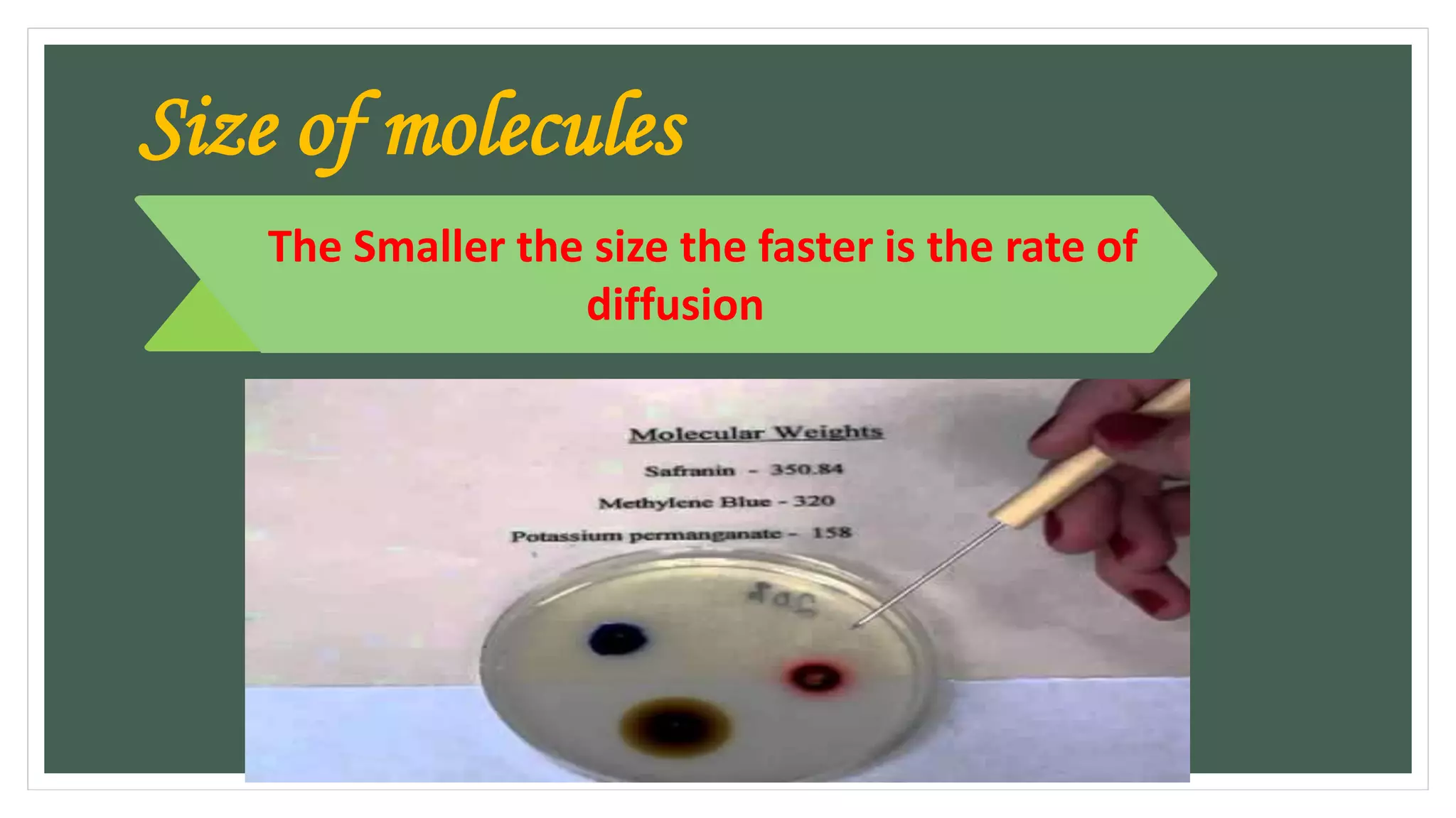 Diffusion, osmosis | PPT