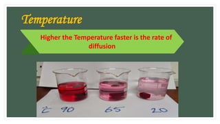 Diffusion, osmosis | PPT
