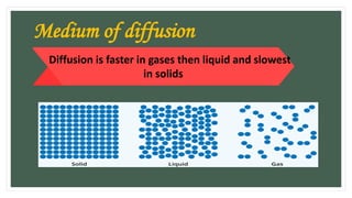 Diffusion, osmosis | PPT