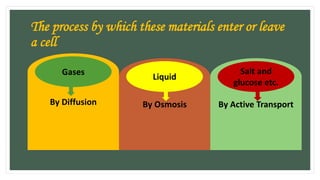 Diffusion, osmosis | PPT
