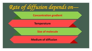 Diffusion, osmosis | PPT