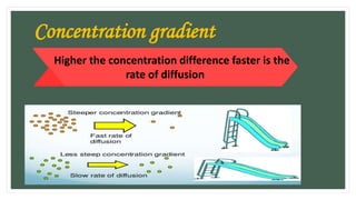 Diffusion, osmosis | PPT
