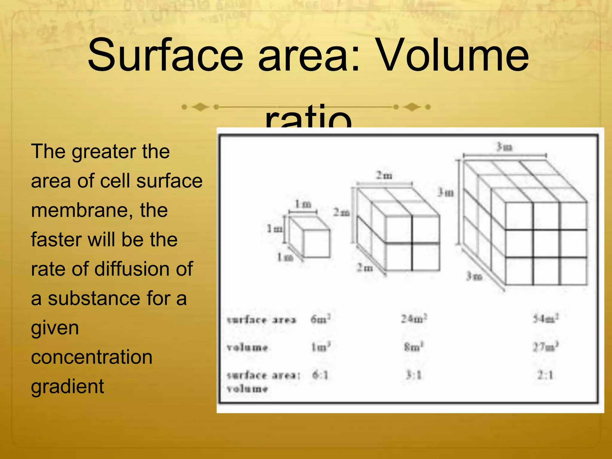 diffusion&osmosis.pptx
