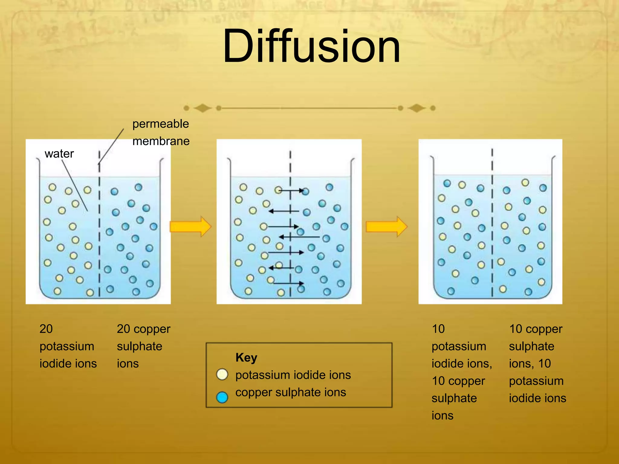 diffusion&osmosis.pptx