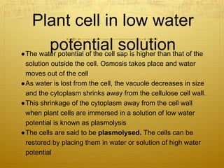 diffusion&osmosis.pptx