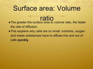 diffusion&osmosis.pptx