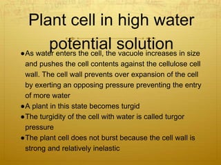 diffusion&osmosis.pptx