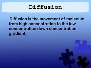biology-Diffusion & osmosis | PPT
