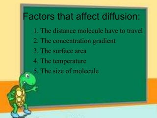 biology-Diffusion & osmosis | PPT
