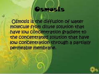 biology-Diffusion & osmosis | PPT