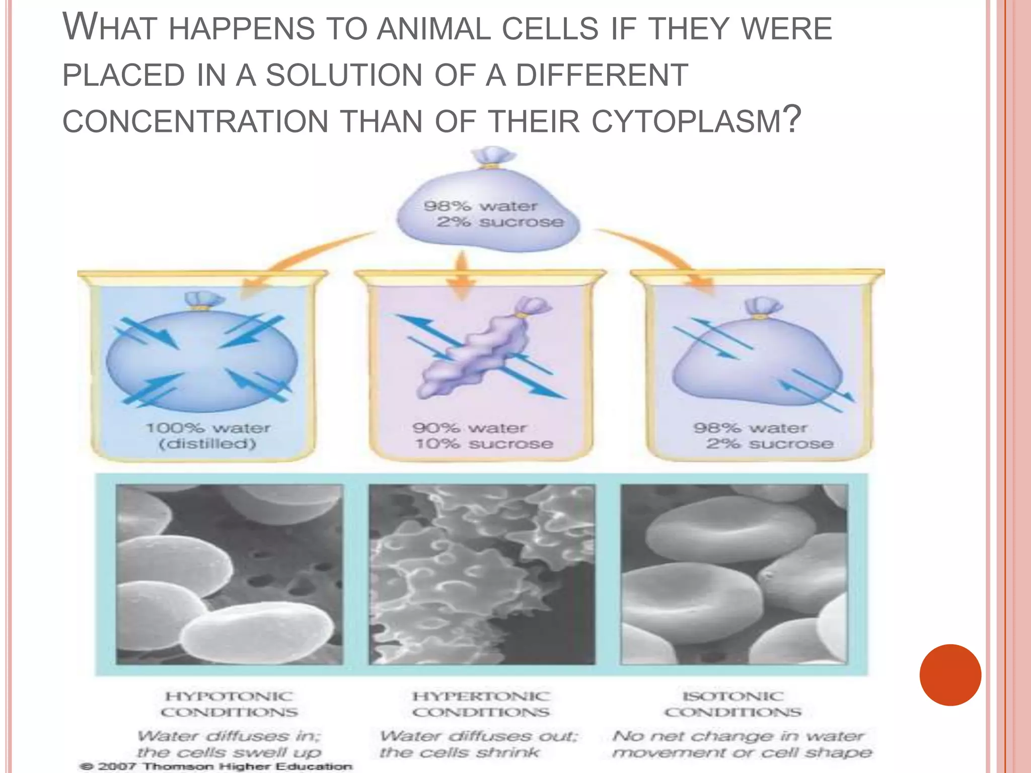 Diffusion osmosis active transport | PPTX