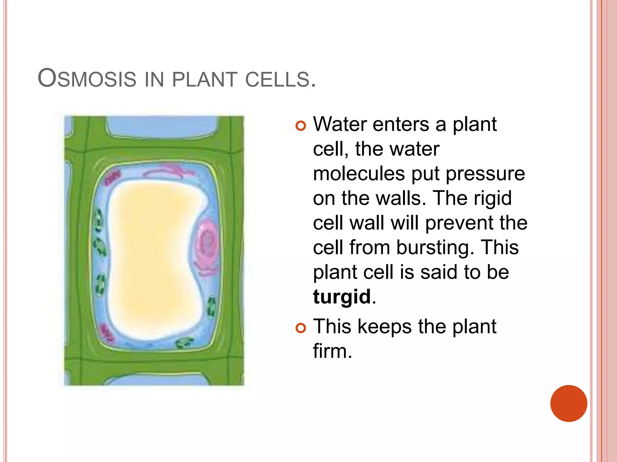 Diffusion osmosis active transport | PPTX