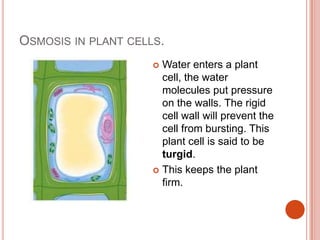 Diffusion osmosis active transport | PPTX