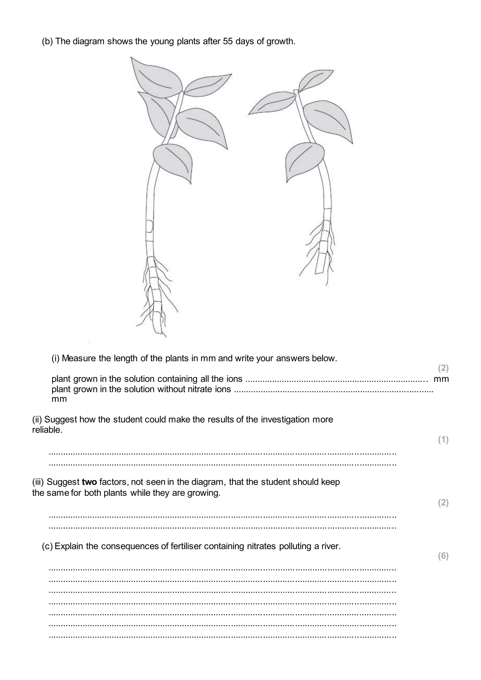 Diffusion, osmosis, and active transport practice questions | DOCX