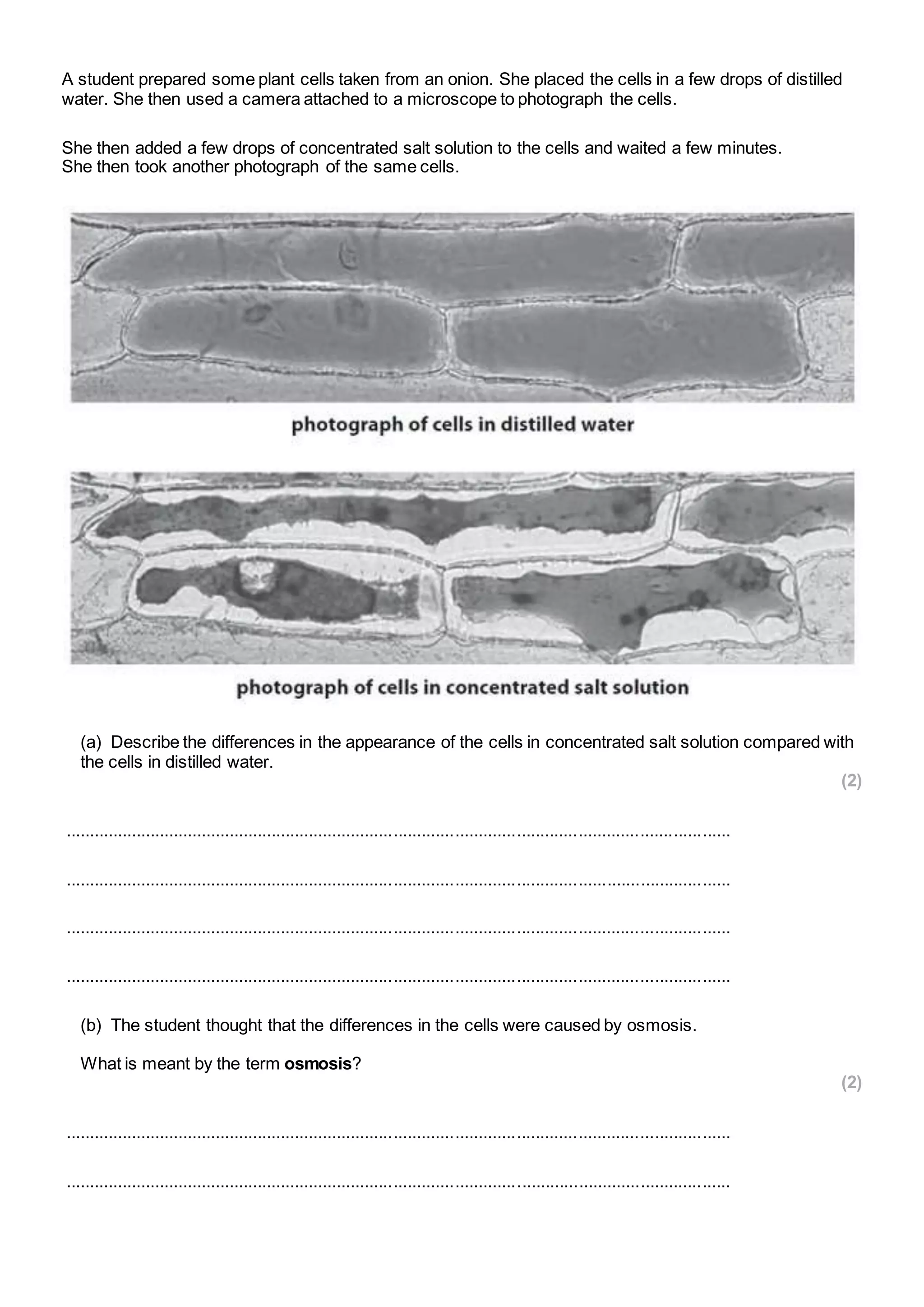 Diffusion, osmosis, and active transport practice questions | DOCX