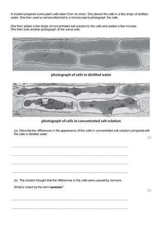 Diffusion, osmosis, and active transport practice questions | DOCX