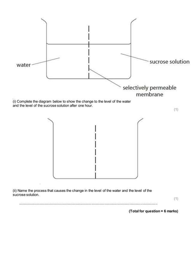 Diffusion, osmosis, and active transport practice questions | DOCX ...