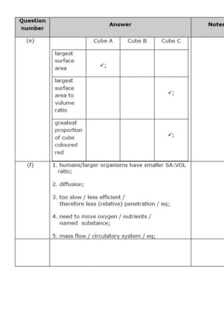 Diffusion, osmosis, and active transport practice questions | DOCX