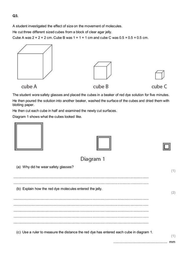 Diffusion, osmosis, and active transport practice questions | DOCX ...