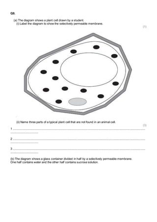 Diffusion Diagram Worksheet