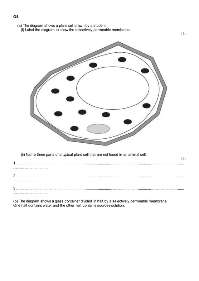 Diffusion, osmosis, and active transport practice questions