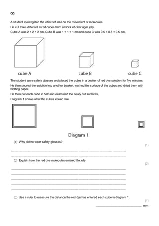 Diffusion Diagram Worksheet