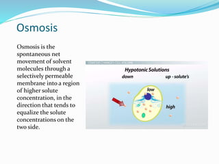 Diffusion,osmosis and imbibition (ayshi) | PPTX