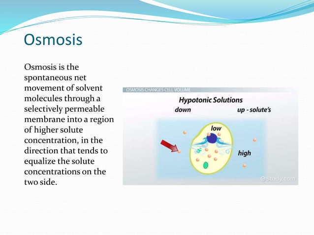 Diffusion,osmosis and imbibition (ayshi) | PPTX