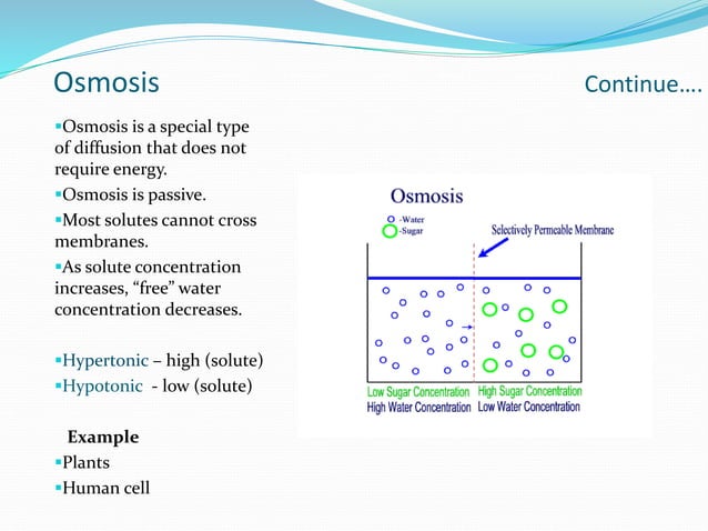 Diffusion,osmosis and imbibition (ayshi) | PPTX