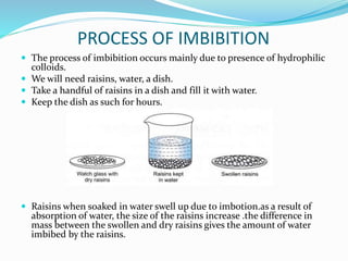Diffusion,osmosis and imbibition (ayshi) | PPT