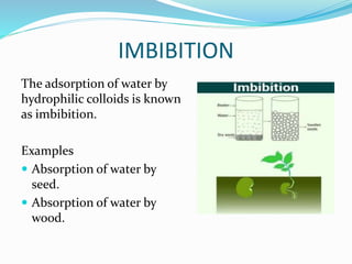 Diffusion,osmosis and imbibition (ayshi) | PPT