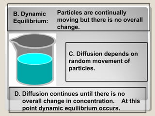 Diffusion & osmosis notes lecture | PPT | Biological Sciences | Science