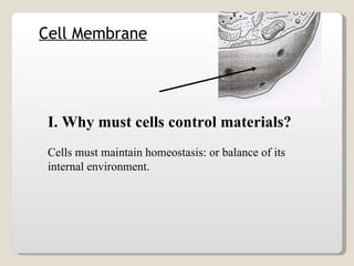 Diffusion & osmosis notes lecture | PPT | Biological Sciences | Science