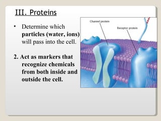 Diffusion & osmosis notes lecture | PPT | Biological Sciences | Science