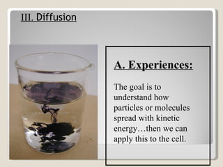Diffusion & osmosis notes lecture | PPT | Biological Sciences | Science