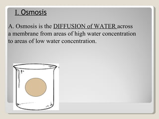 Diffusion & osmosis notes lecture | PPT | Biological Sciences | Science