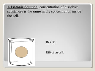 Diffusion & osmosis notes lecture | PPT | Biological Sciences | Science