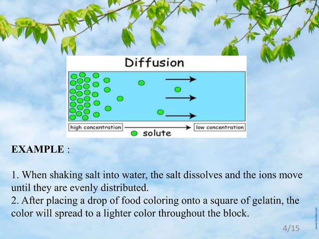 Diffusion parameters.pptx