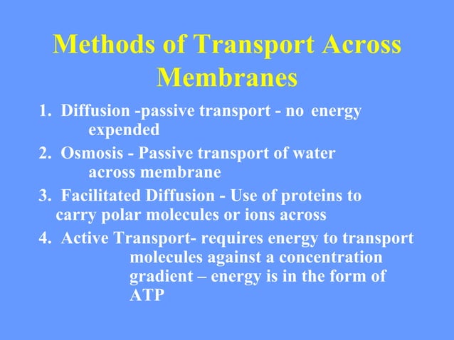 Diffusion powerpoint for summer class | PPT | Chemistry | Science